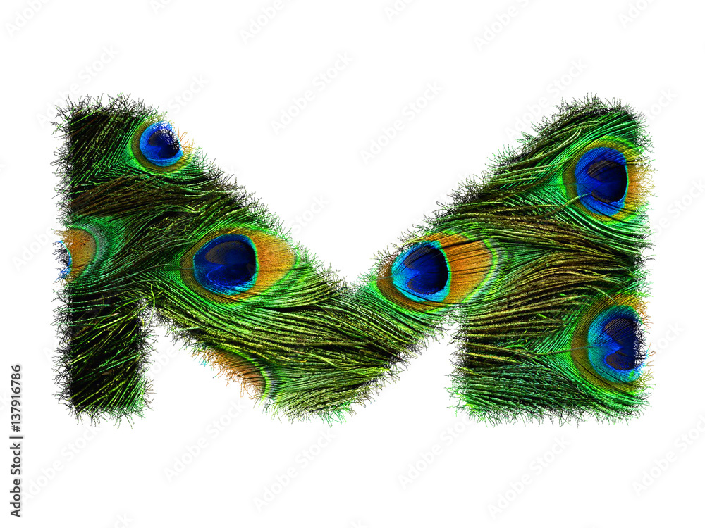 High resolution upper case letter M made of peacock feathers alphabet ...
