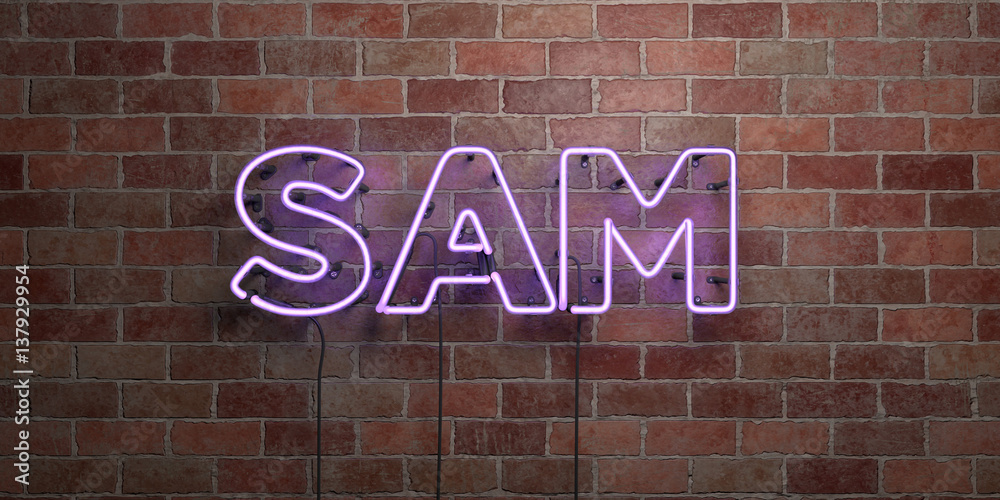 SAM - fluorescent Neon tube Sign on brickwork - Front view - 3D ...