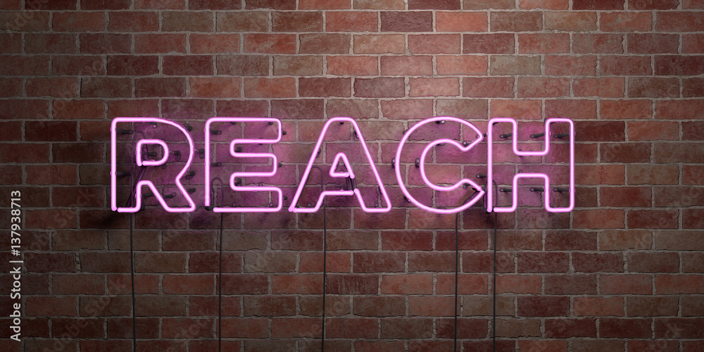 REACH - fluorescent Neon tube Sign on brickwork - Front view - 3D ...