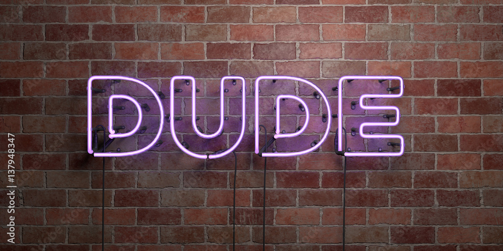 DUDE - fluorescent Neon tube Sign on brickwork - Front view - 3D ...