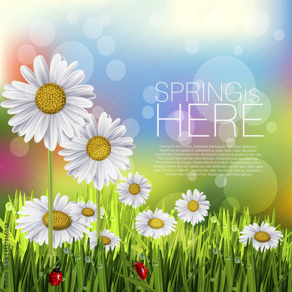 Beautiful Spring Background vector de Stock | Adobe Stock