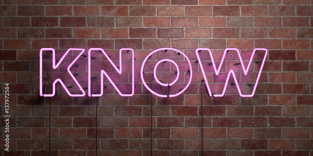 KNOW - fluorescent Neon tube Sign on brickwork - Front view - 3D ...