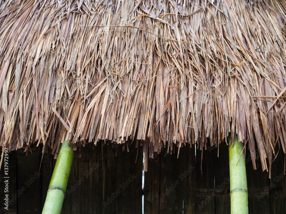 thatch roof background Stock Photo | Adobe Stock