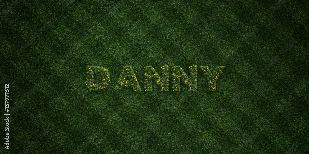 DANNY - fresh Grass letters with flowers and dandelions - 3D rendered ...