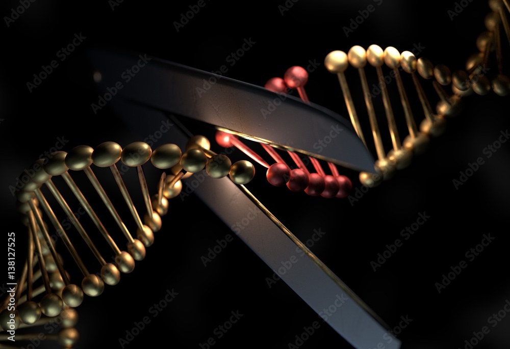 DNA cut the part by a scissor 3d illustration Stock Illustration ...