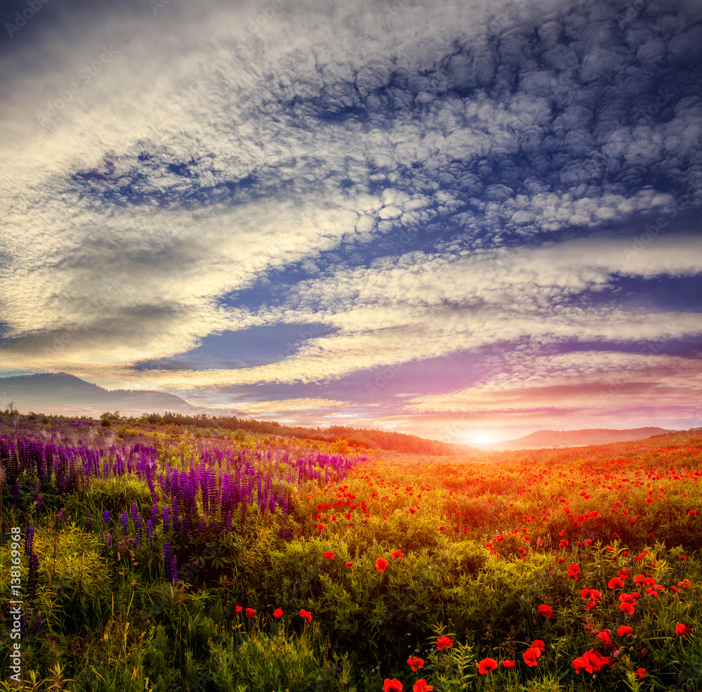 Beautiful Valley Sunset