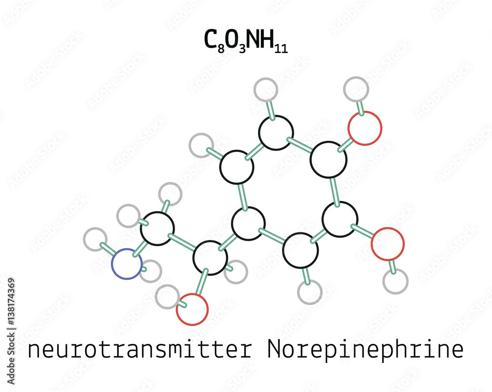 Norepinephrine Structure Carbon Labeled Atoms Chain Figure Side ...