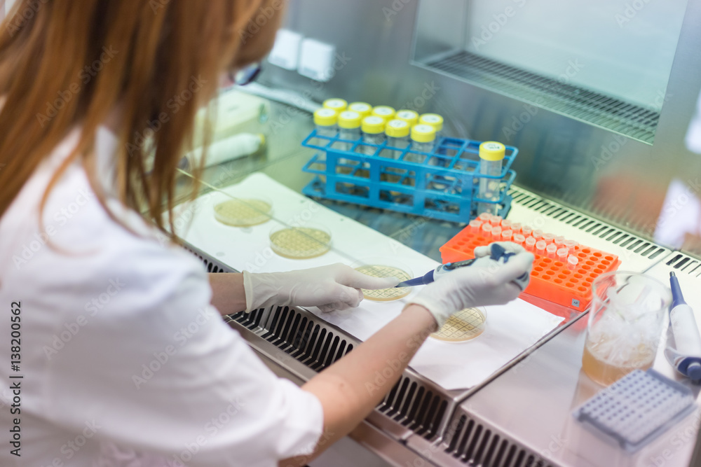 Female scientist researching in laboratory, pipetting cell culture ...