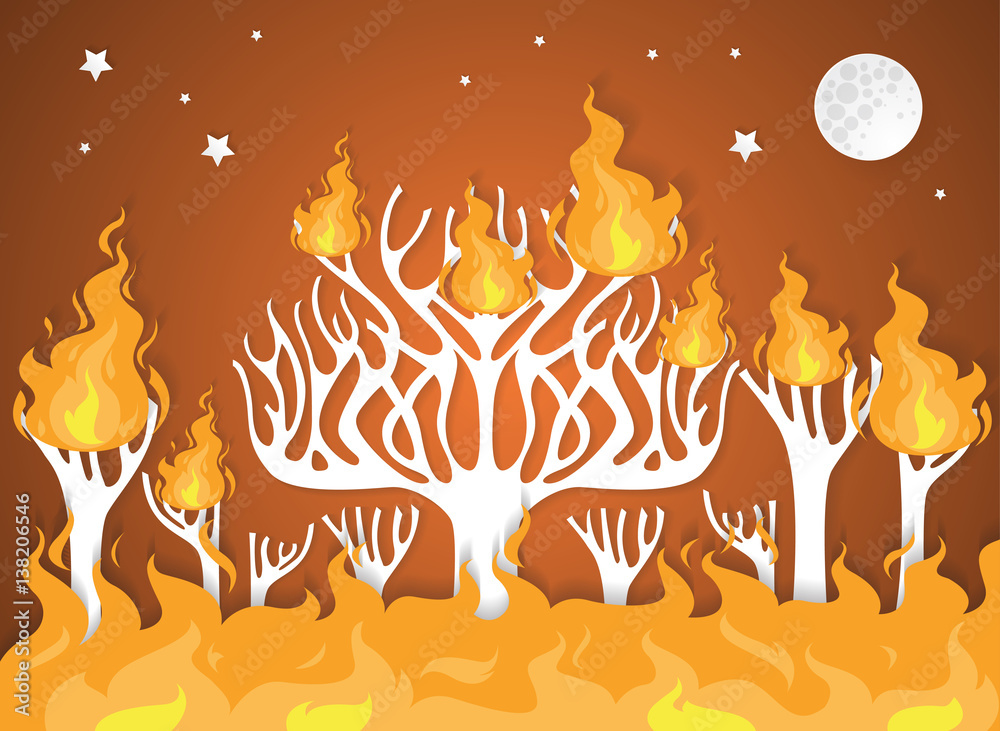 burning forest trees in fire flames - natural disaster concept,paper ...