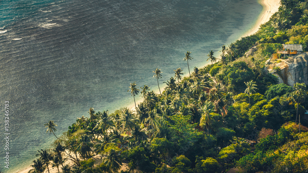 Tropical sandy beach with palms and an hous, gray ocean during a windy ...
