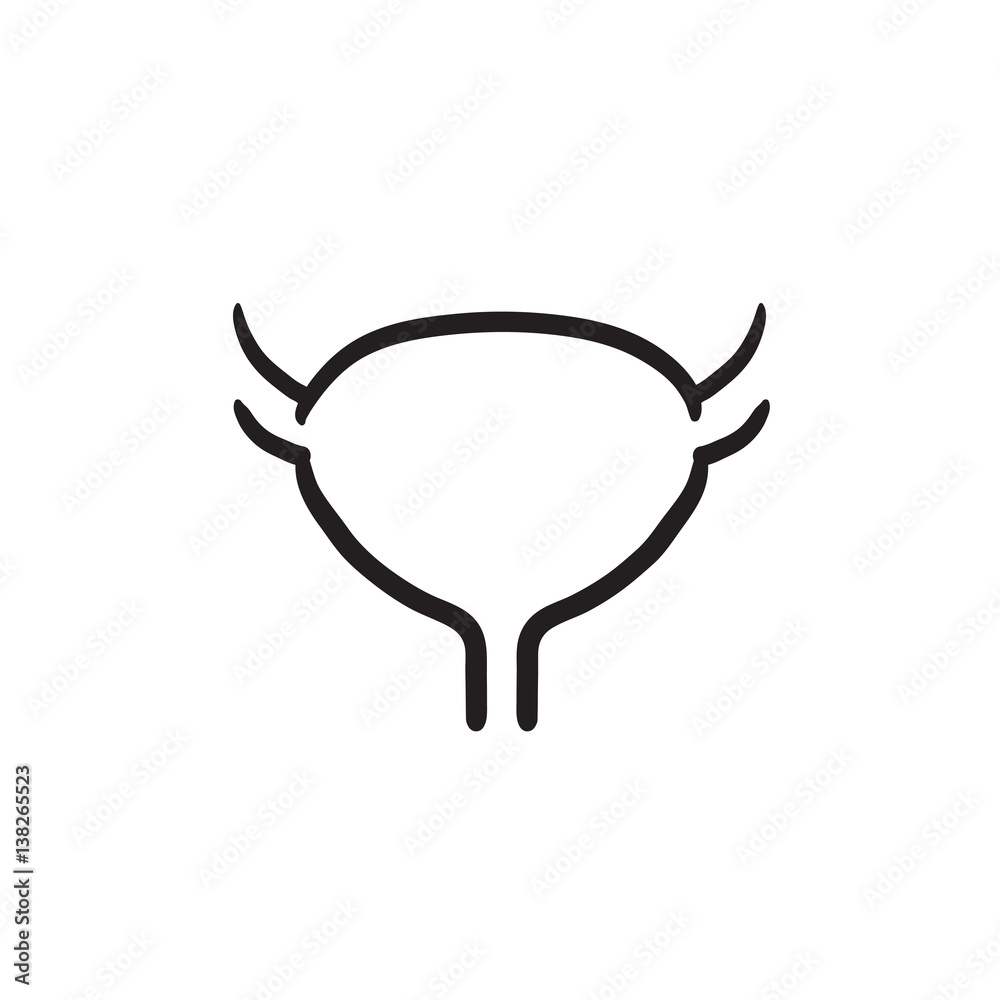 Urinary bladder sketch icon. Stock Vector | Adobe Stock