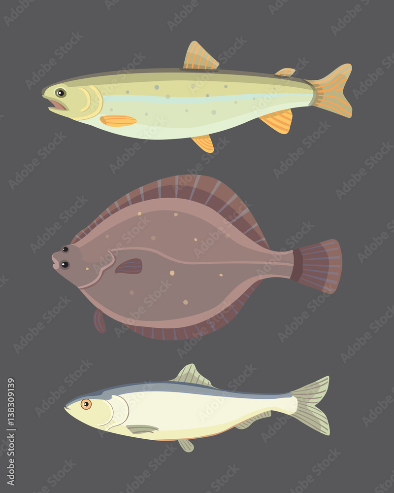 Isolated river fish. Set of freshwater sea cartoon fishes. Fauna ocean ...