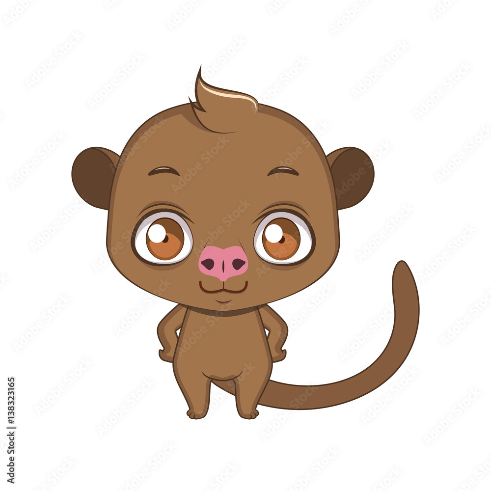 Cute stylized cartoon olingo illustration ( for fun educational ...