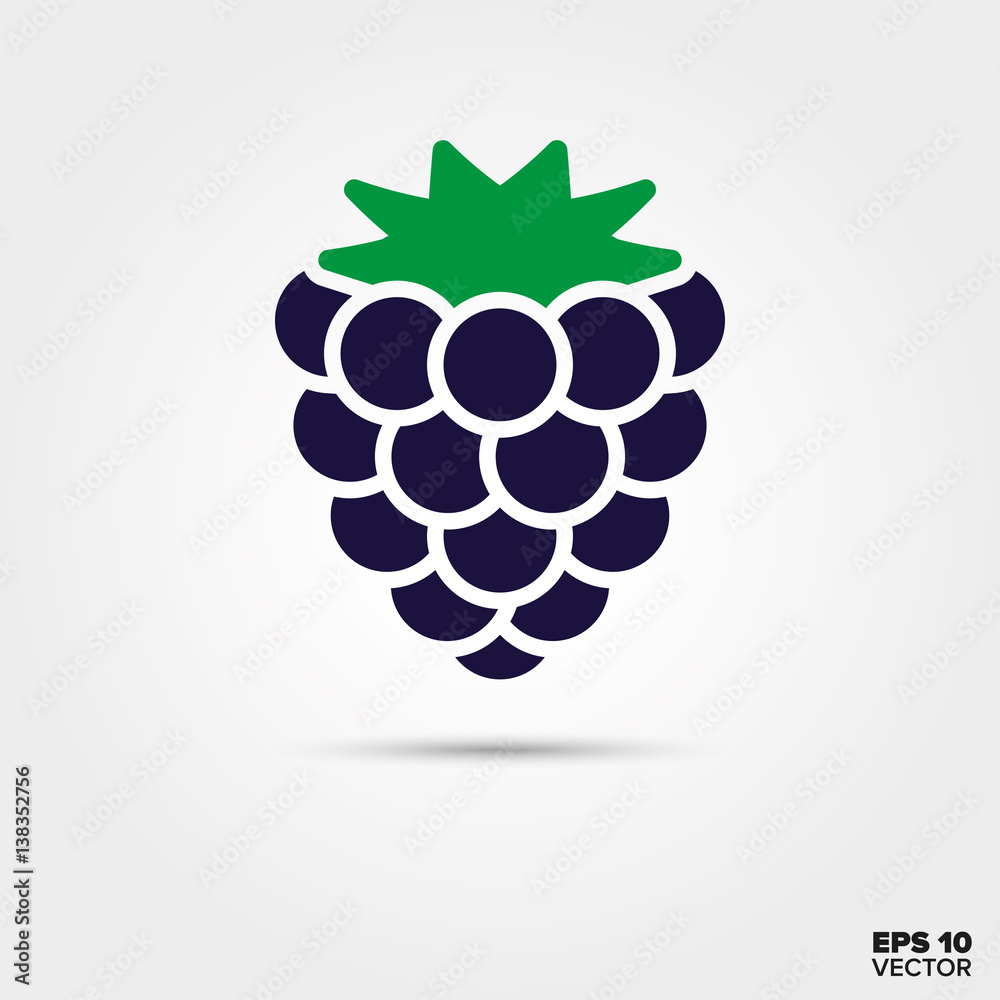 Blackberry fruit vector icon Stock Vector | Adobe Stock