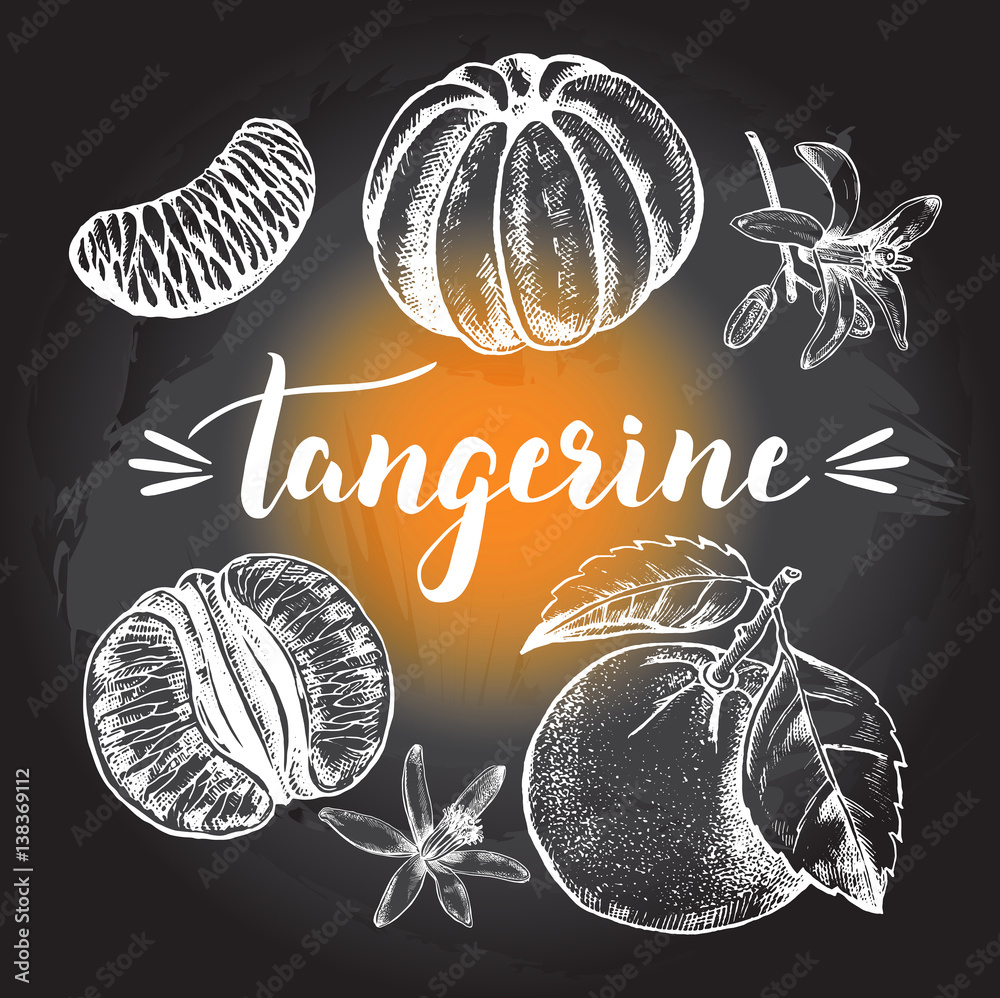 Ink hand drawn tangerine set with brush calligraphy style lettering ...