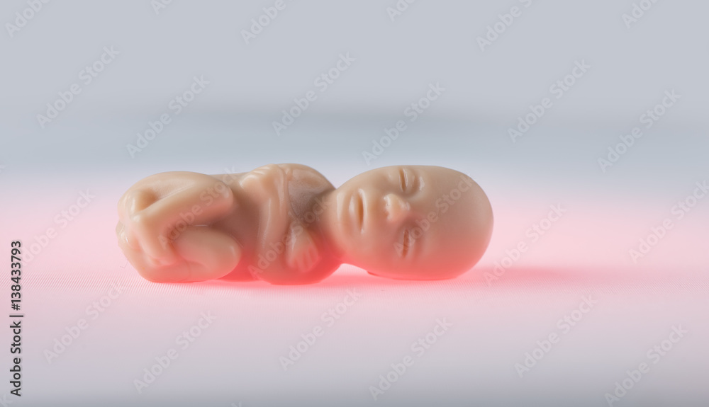 The embryo in a woman's hands. Concept embryo and abortion Stock Photo ...
