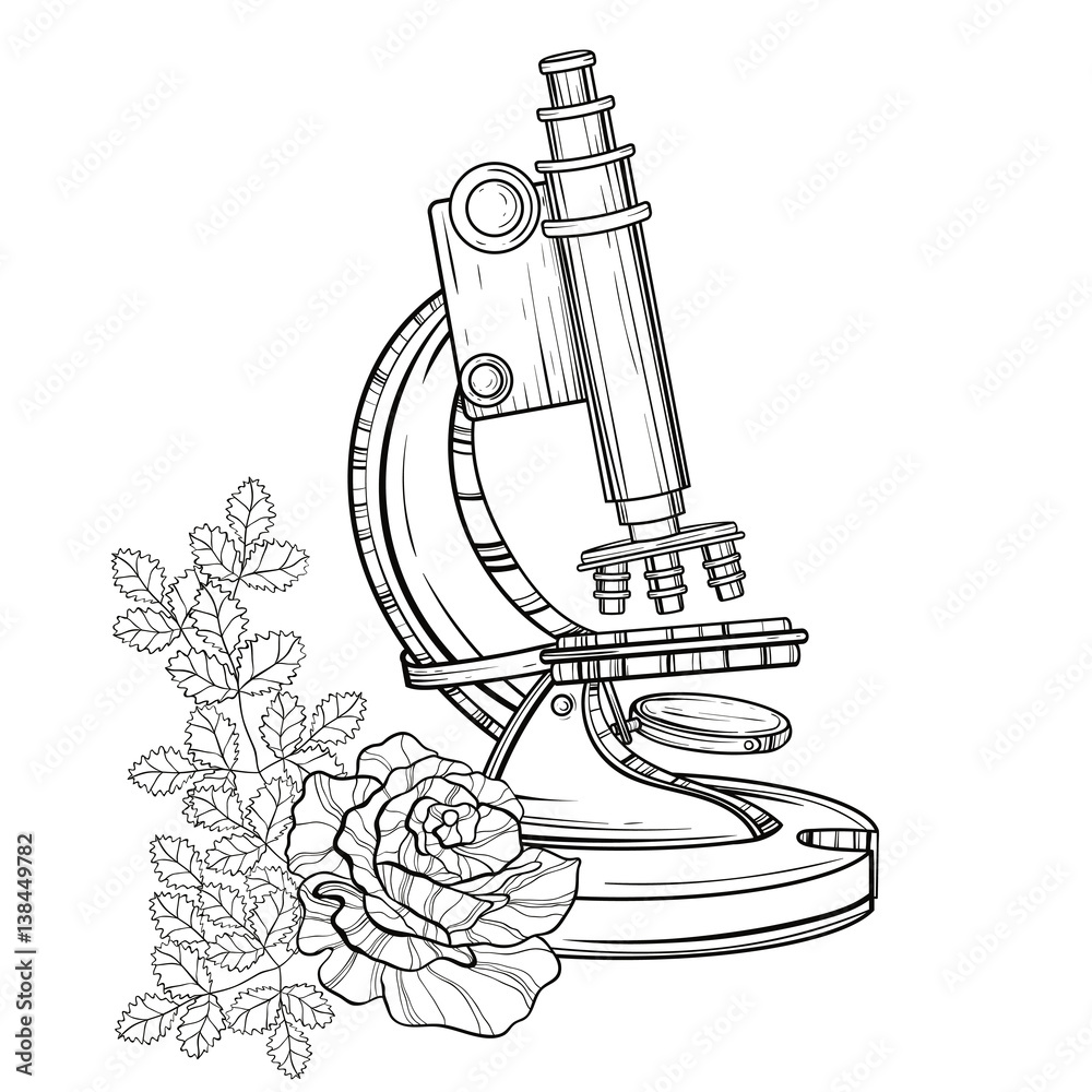 Vector old microscope with roses. Vintage hand drawn illustration for ...