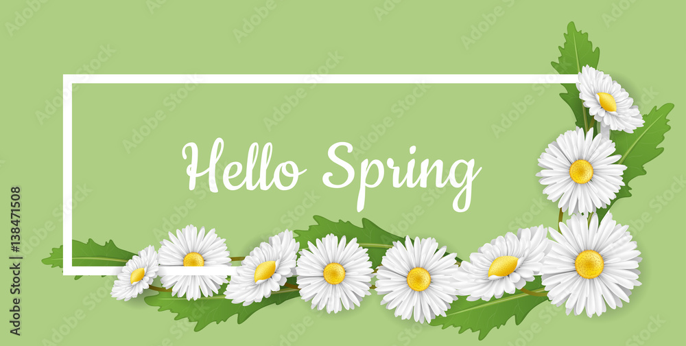 Horizontal banner spring frame, with white daisy flower, on green ...