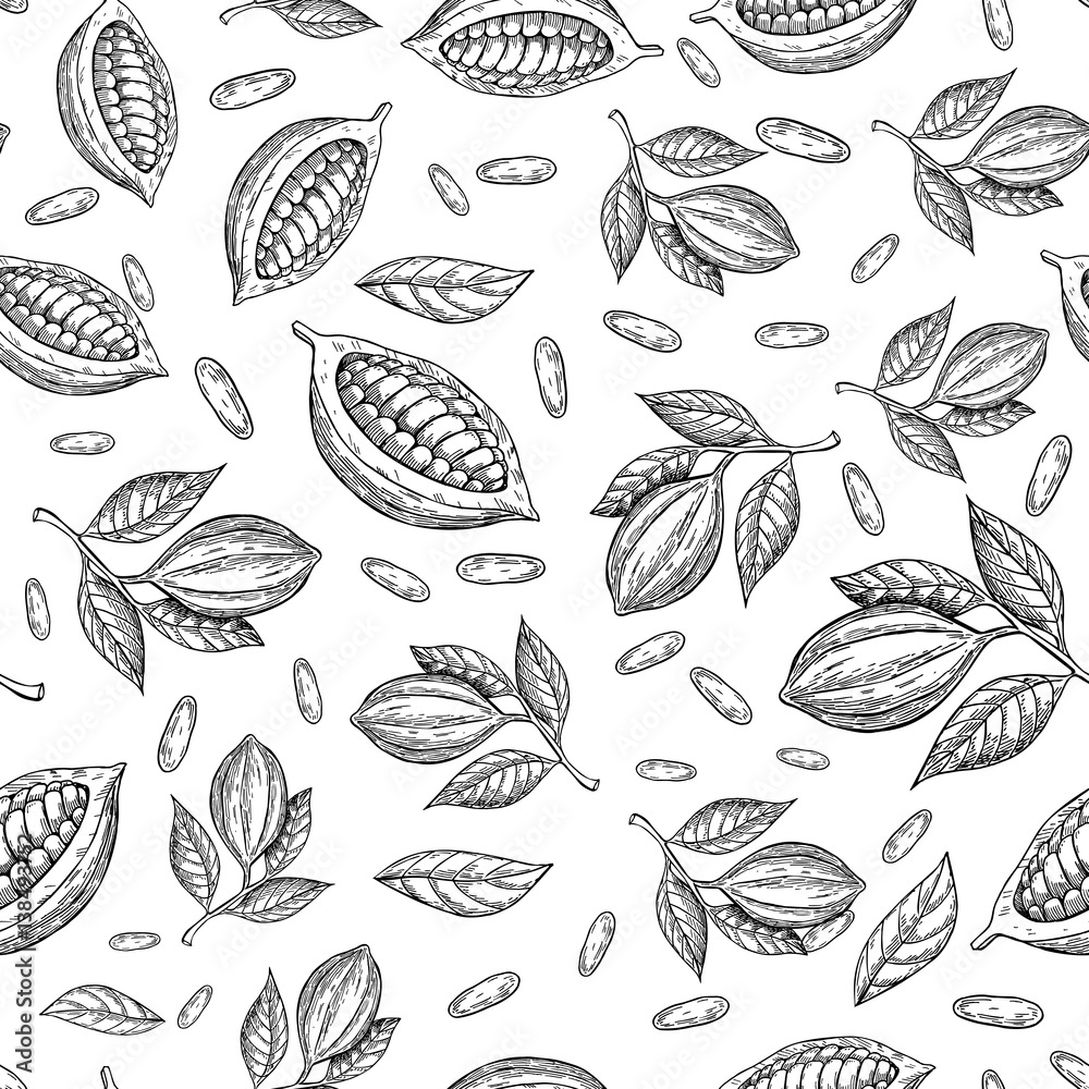 Vetor de Cocoa branch vector seamless pattern. Superfood drawing. Isolated hand drawn background ...