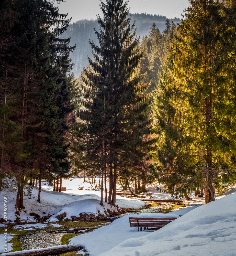 Romanian beautiful nature landscape in the spring. scenery with ...