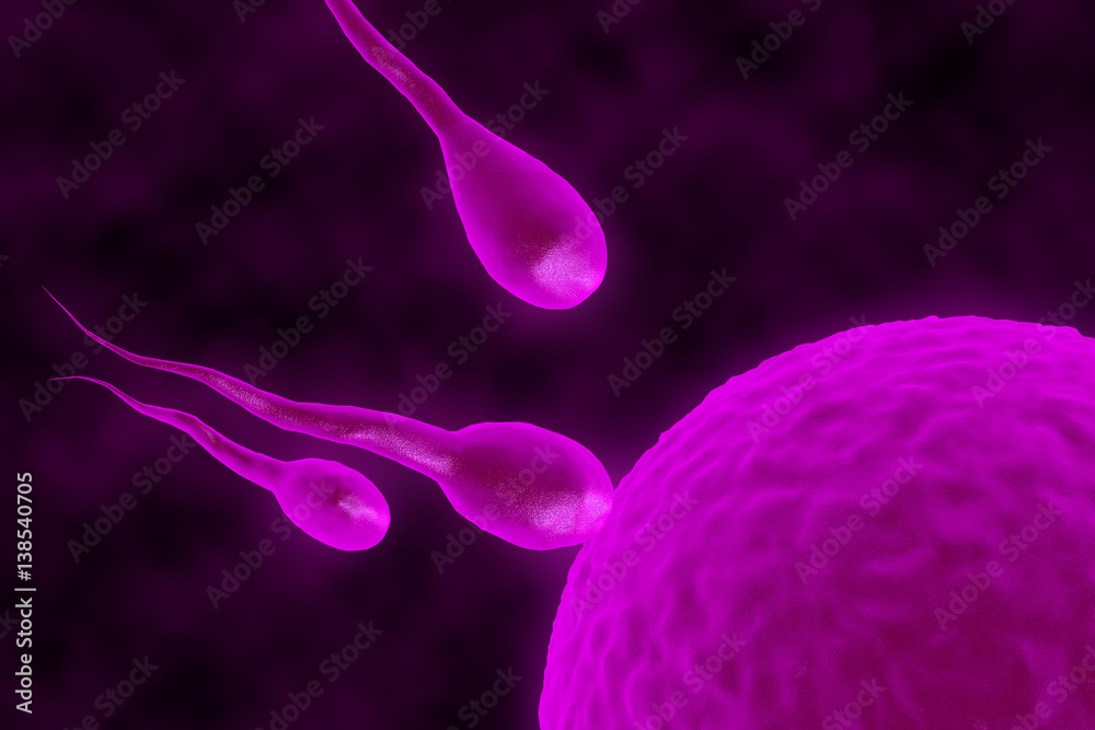 3d Illustration Of Sperm And Fertile Human Egg Insemination Concept