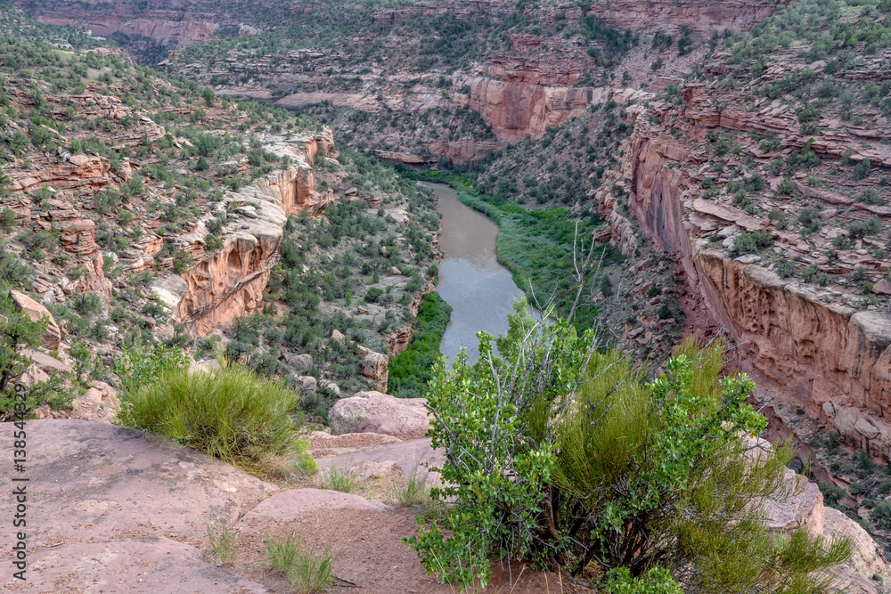 Dolores river flowing in Dolores river canyon from Hanging Flume ...