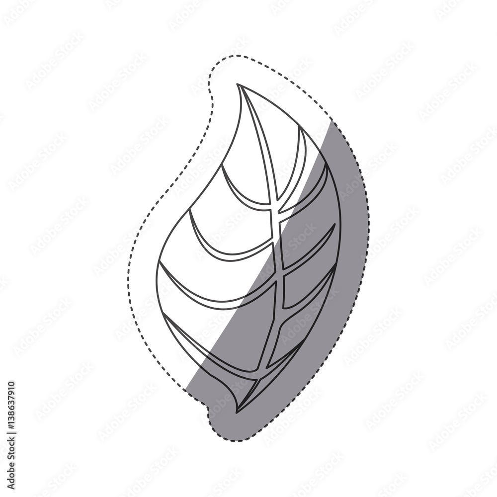 figure leaf of plant icon, vector illustration design image Stock ...