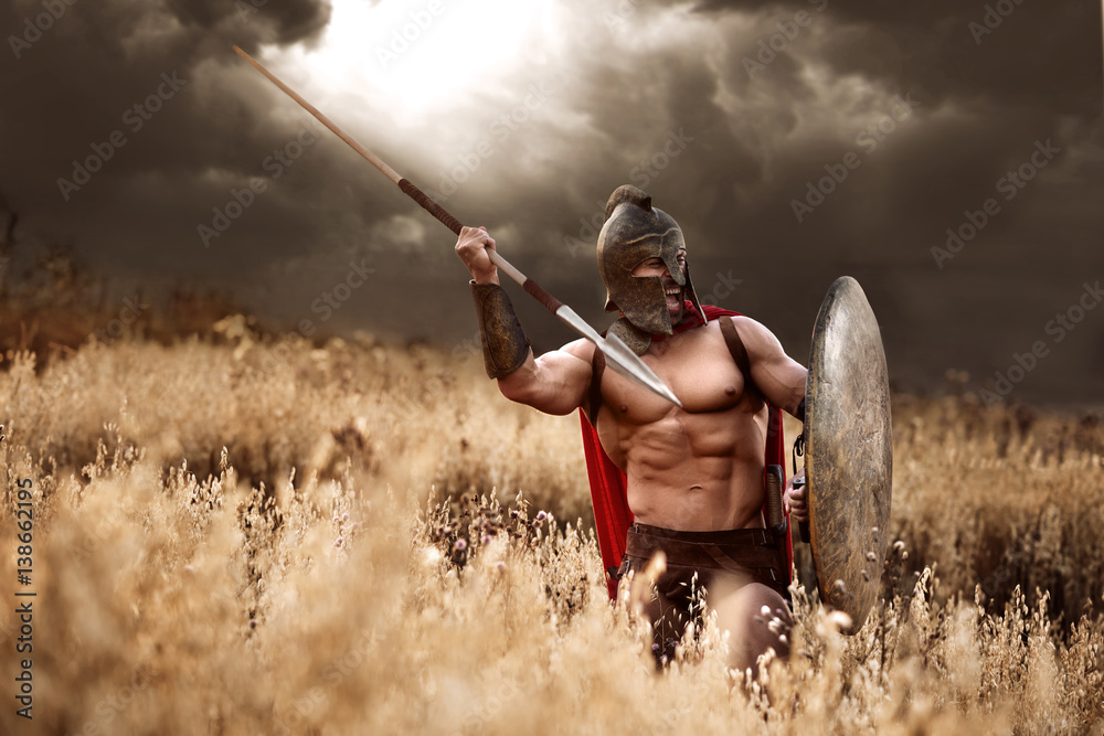 Strong Spartan warrior in battle dress with a shield and a spear Stock ...