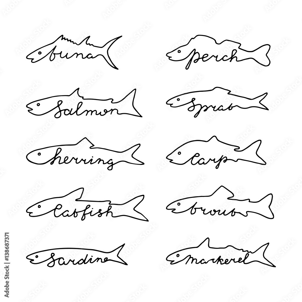 Hand drawn fish species with lettering. Tuna, salmon, herring, catfish ...
