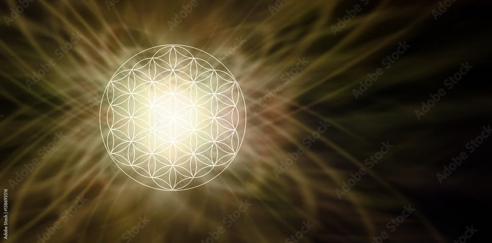 Illuminated Flower of Life Sepia Background - glowing soft focus ...