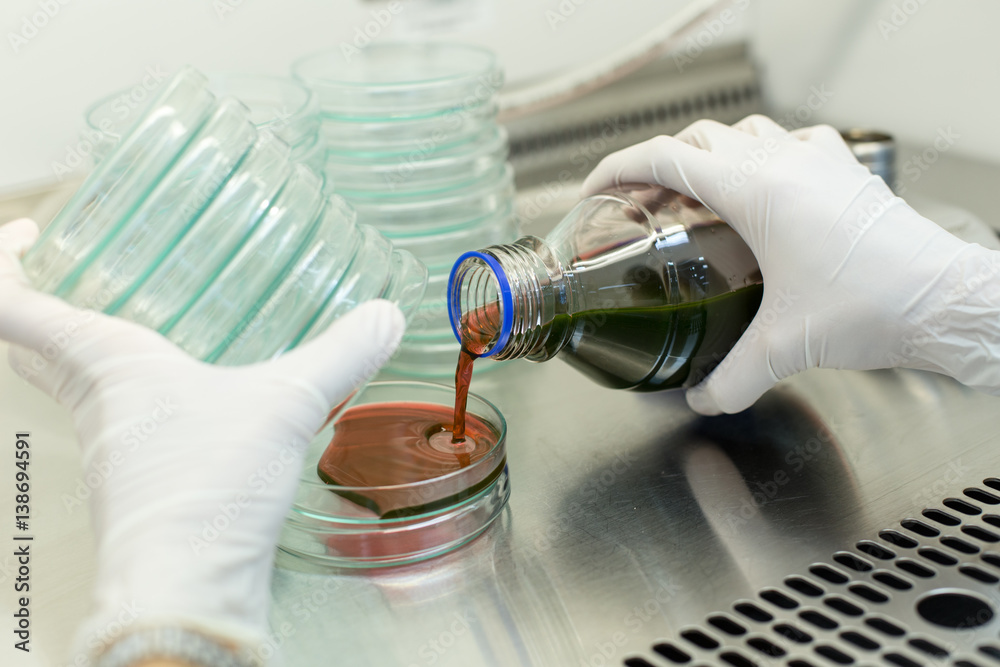 Eosin Methylene Blue (EMB) Agar for culture medium for Inoculum tests ...