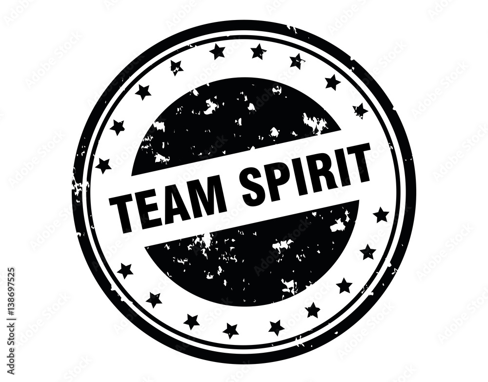 Team Spirit Logo
