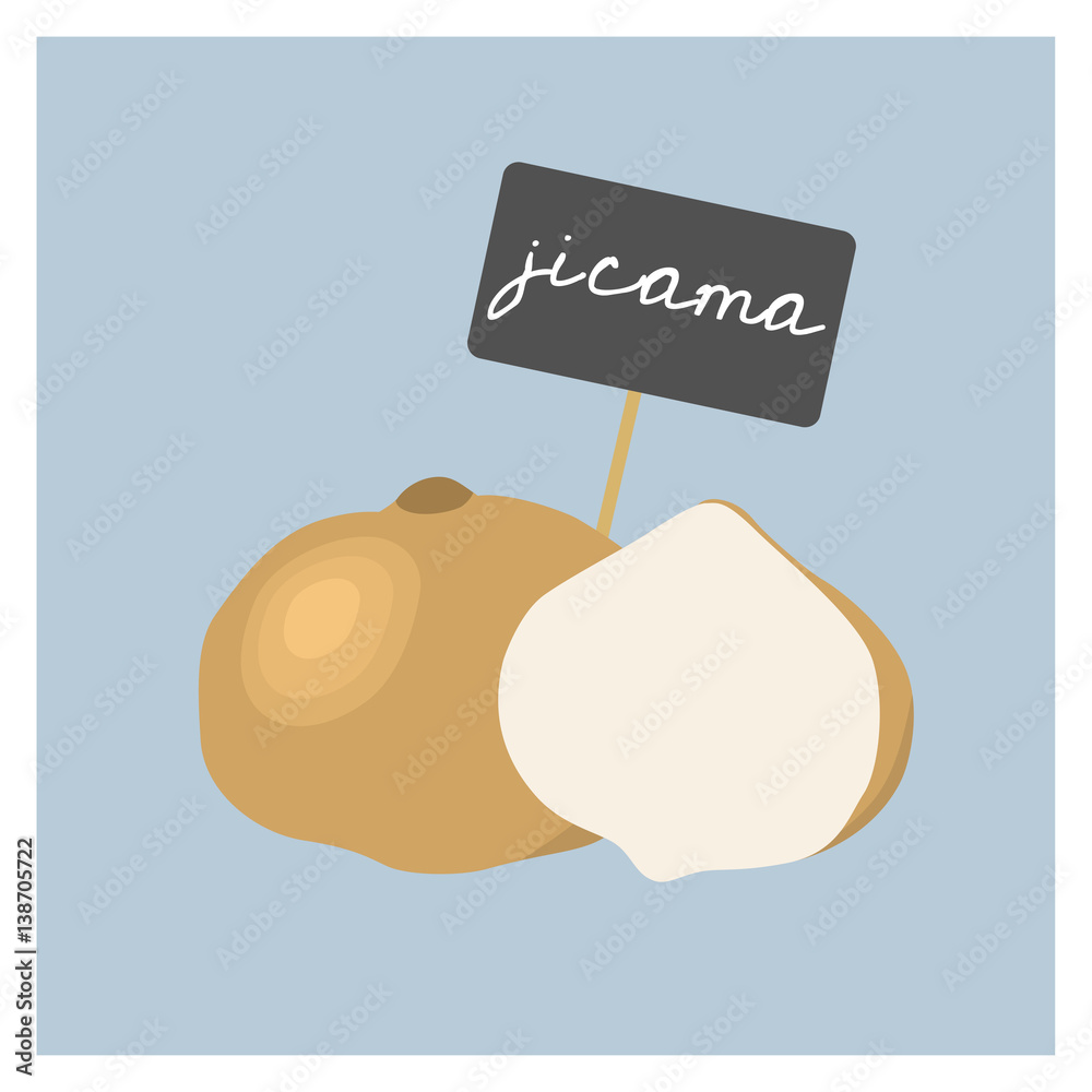Vector Vegetable - Jicama Stock Vector | Adobe Stock