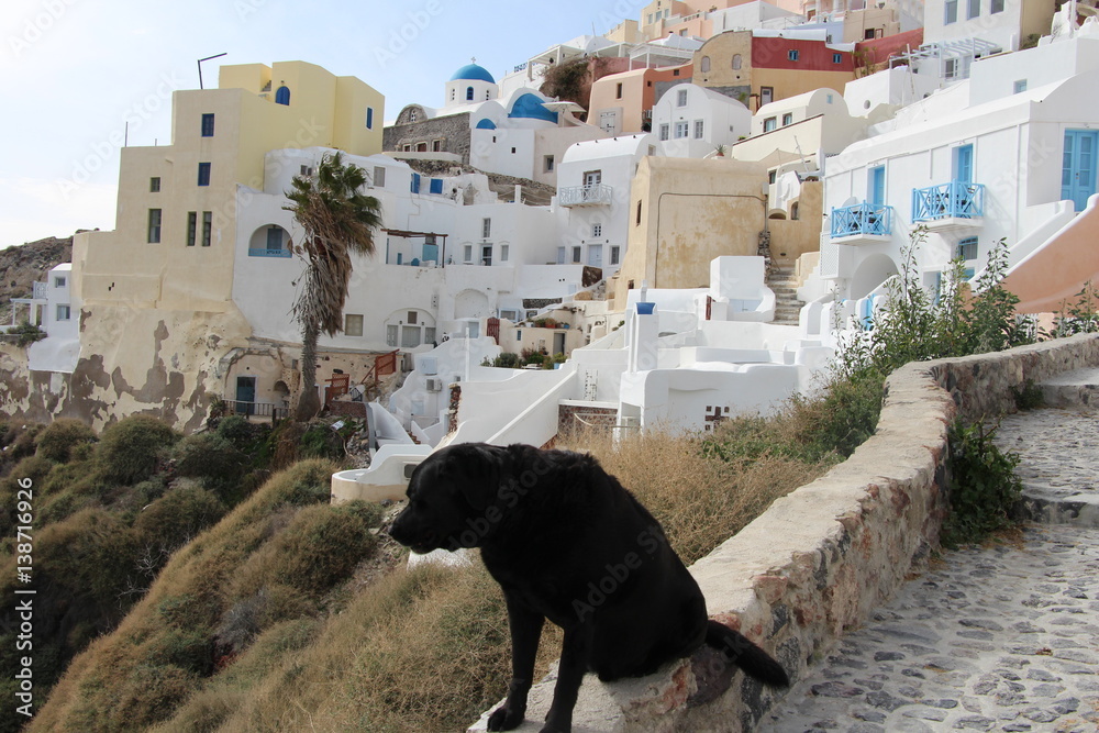 Santorini, the beauty of the island, Oia, Cat Island, White Island, sea ...