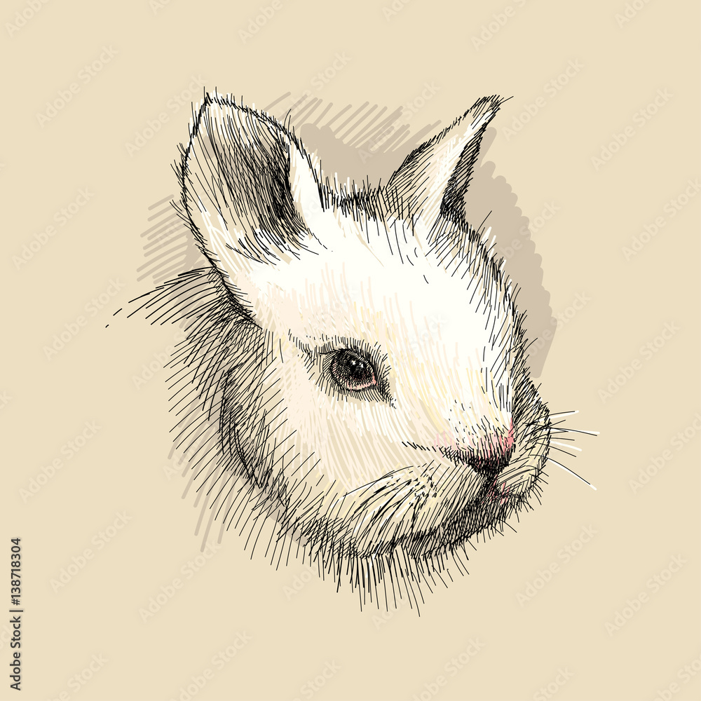 Bunny Head Template Profile