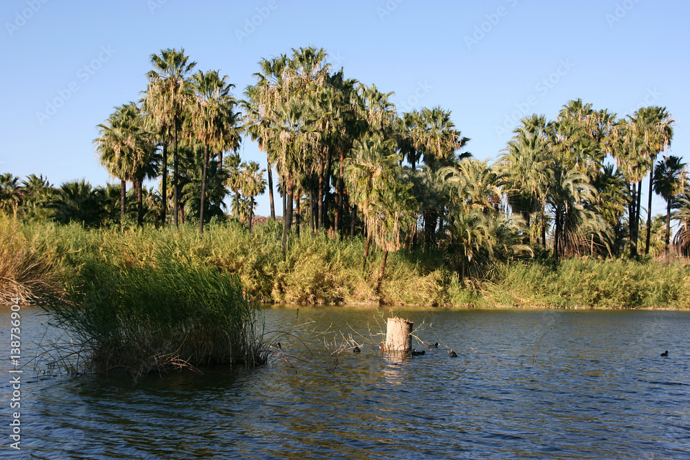 Laguna (lagoon) de San Ignacio, San Ignacio, Baja California Sur ...