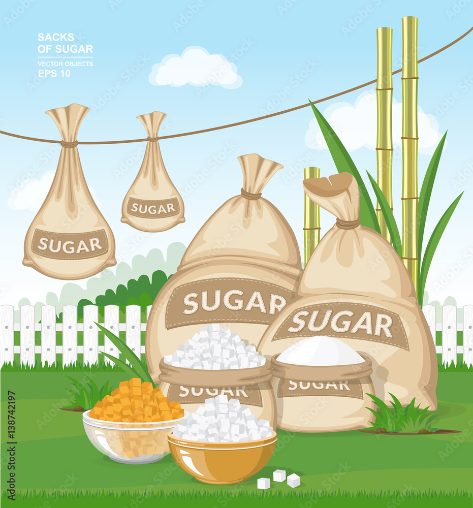 Vector cartoon illustration. Different burlap sacks of sugar in the ...