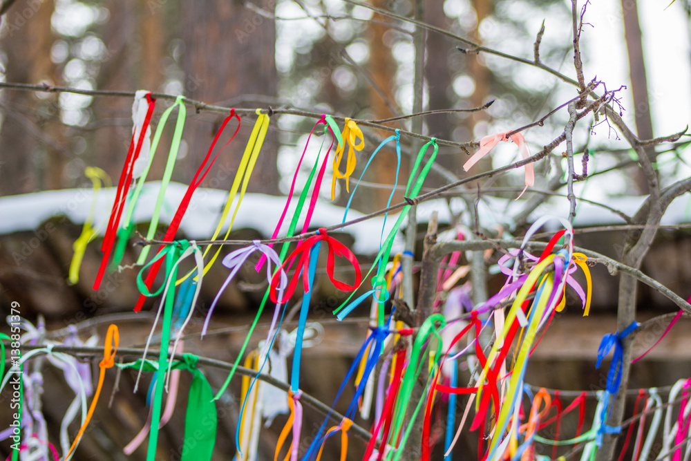 tree of wishes, a lot of multi-colored ribbons tied on the branches ...