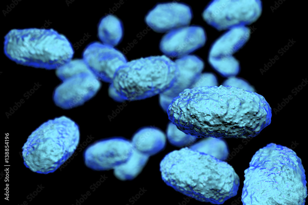 Bacteria Bordetella pertussis isolated on black background, 3D ...