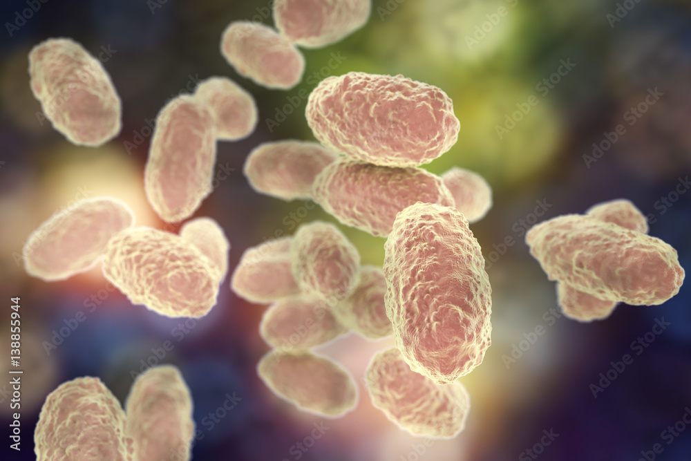 Bacteria Bordetella pertussis, 3D illustration. Gram-negative coccobacilli bacteria which cause ...