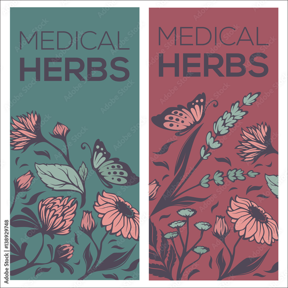 medical herbs, flowers, plants and leaves, two vector flyer template ...