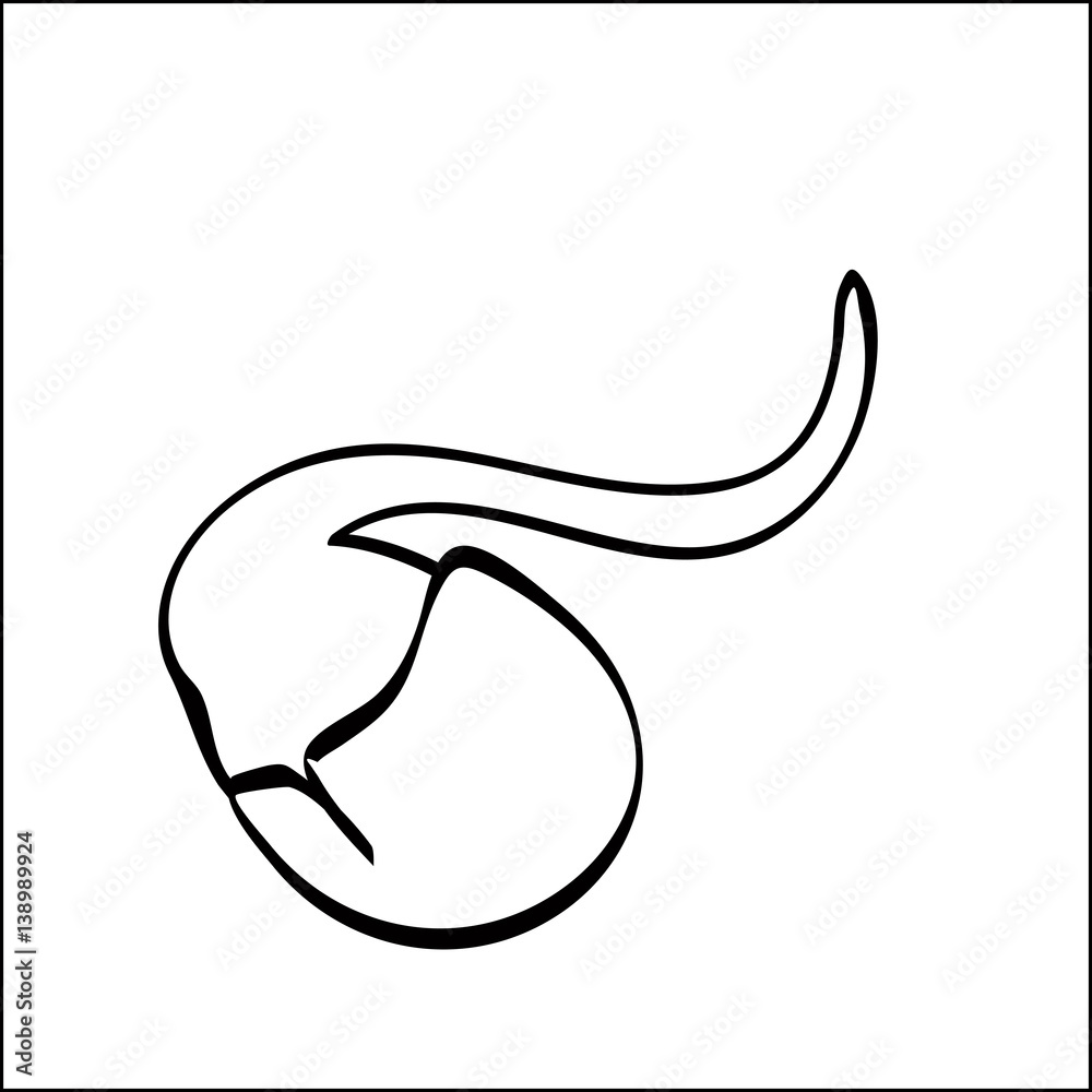 Bean Sprout Drawing