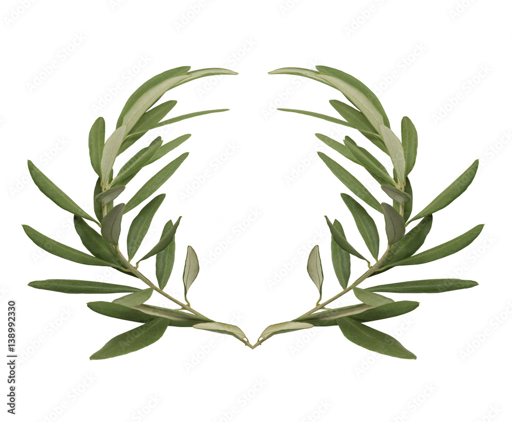 Olive wreath - the reward for the winners of the Olympic games in ...