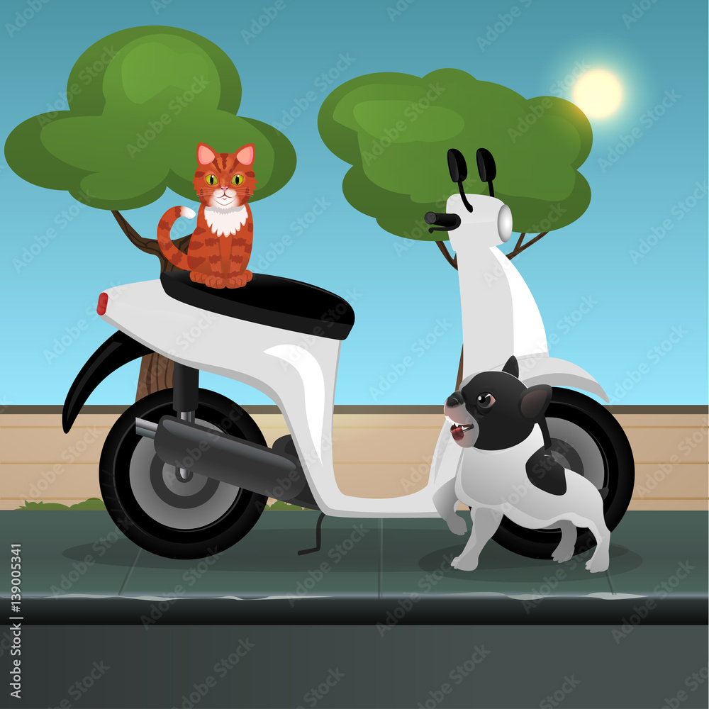 Cartoon scooter, cat and dog in the street Stock-Vektorgrafik | Adobe Stock