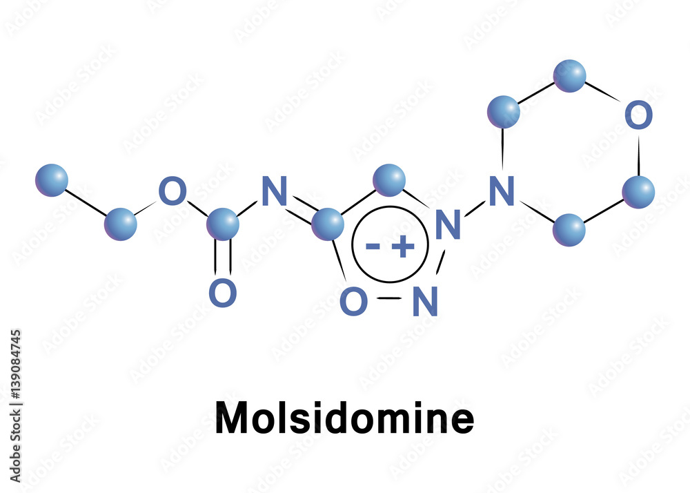 Molsidomine is a long acting vasodilating drug. It is metabolized in ...