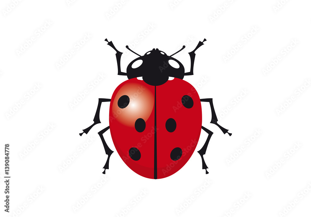 Ladybug vector clip art. Vector illustration of ladybug. Ladybird on a ...