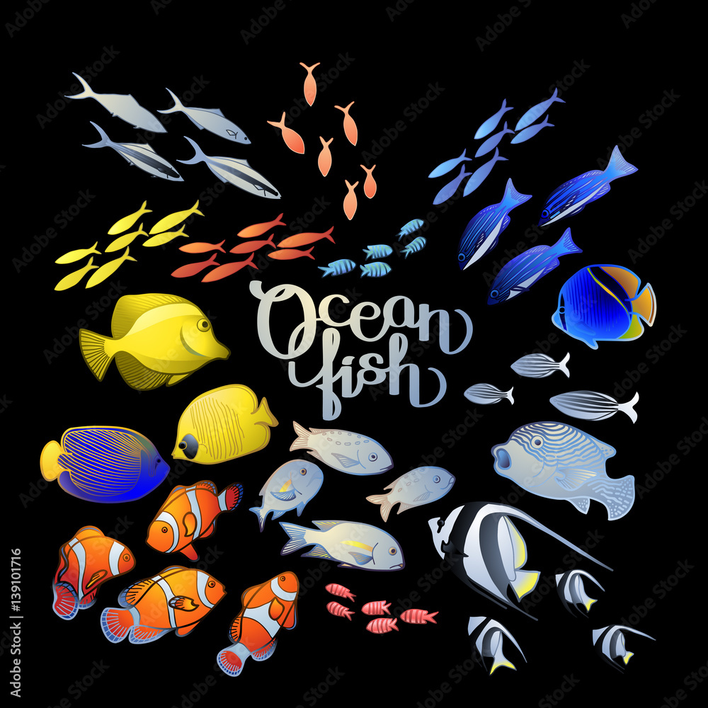 Graphic ocean fish Stock Vector | Adobe Stock