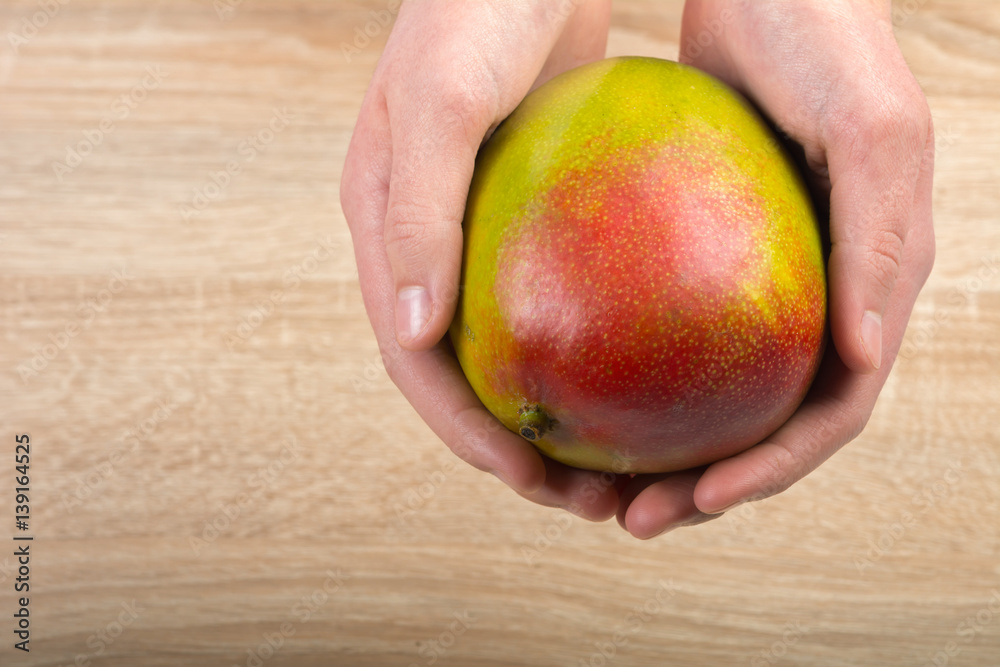 Woman's hand holding a mango on white background Stock Photo | Adobe Stock