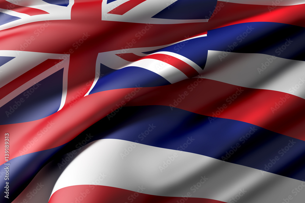 Hawaii State flag Stock Illustration | Adobe Stock