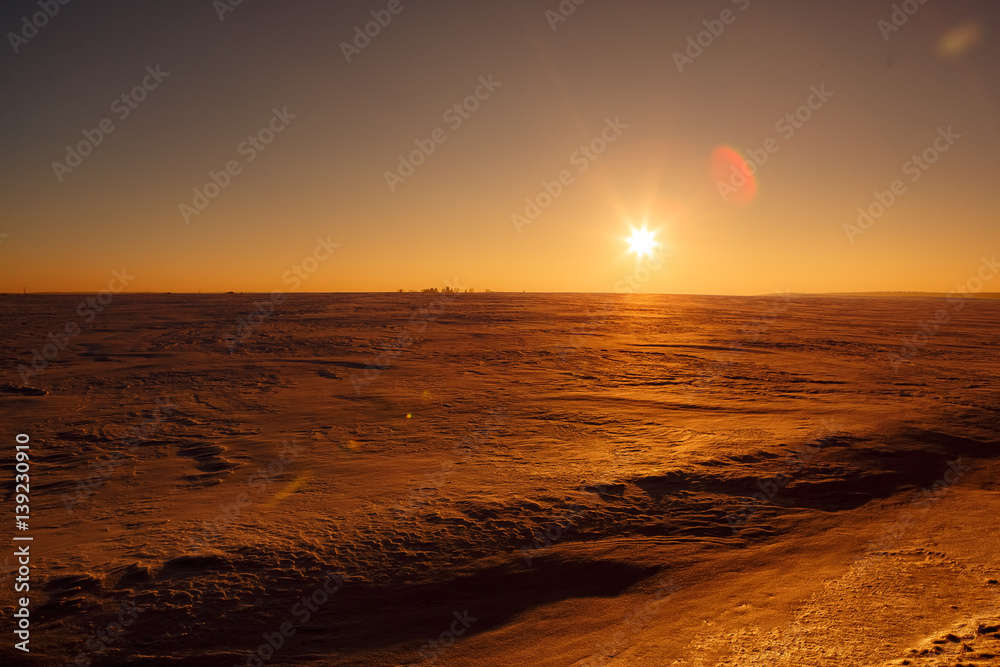 Martian sunset (Mars planet) red landscape. Looks like cold desert on ...